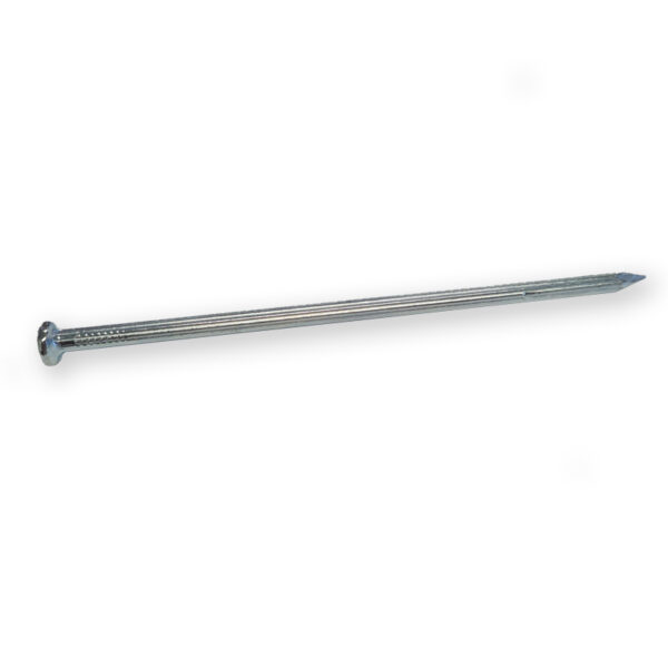 Bullet Head Galvanized Nail • Tactile Systems Australia